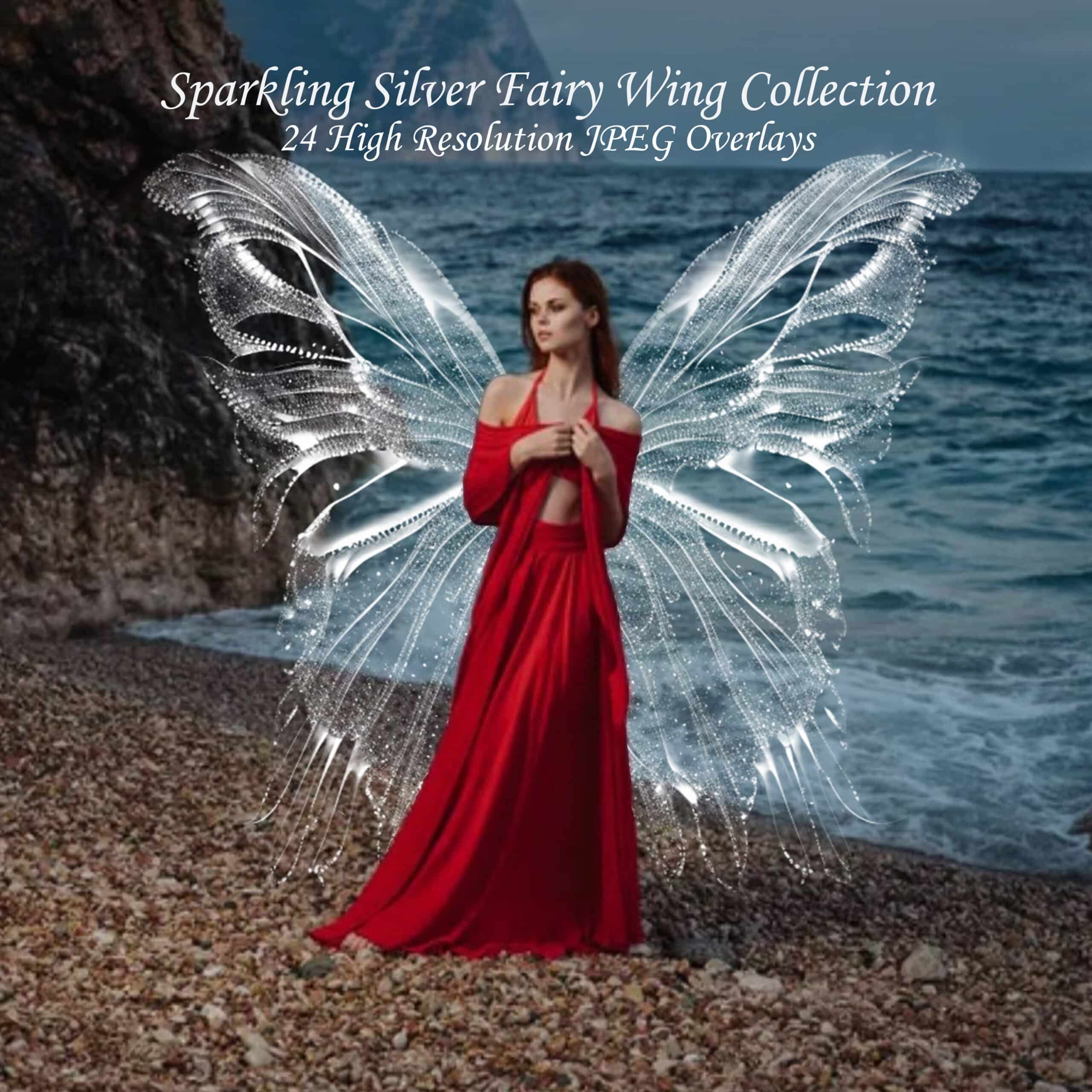 24 Sparkling Silver Fairy Wing Overlays