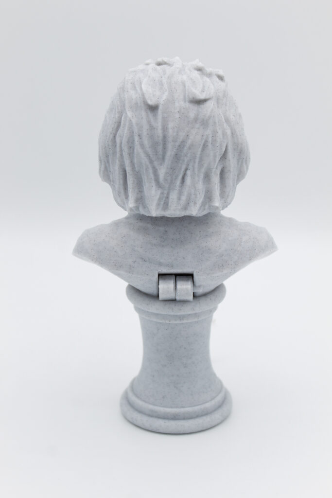 Einstein Bust Secret Hidden Button Switch - My Community Made