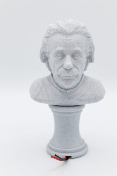 Einstein Bust Secret Hidden Button Switch - My Community Made